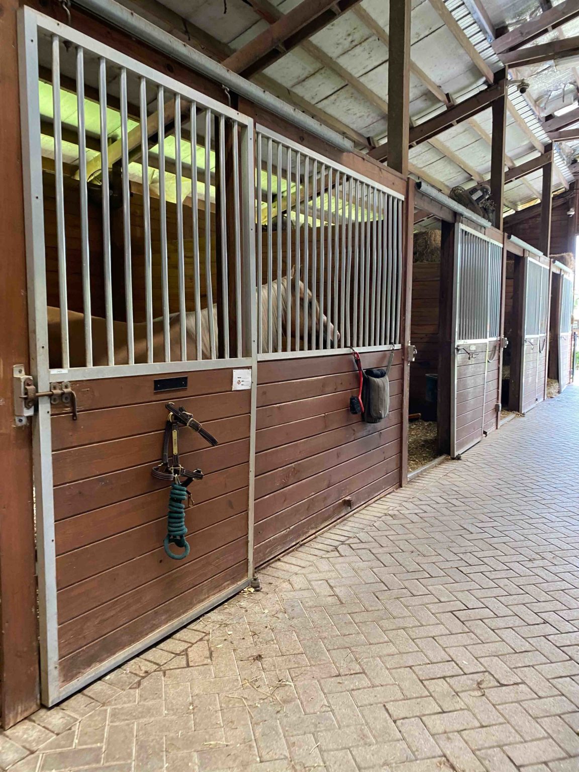 The City of Parkland - Best In Parkland